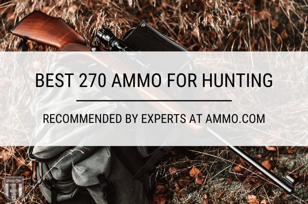 The Best 270 Ammo for Hunting | The Daily Bell